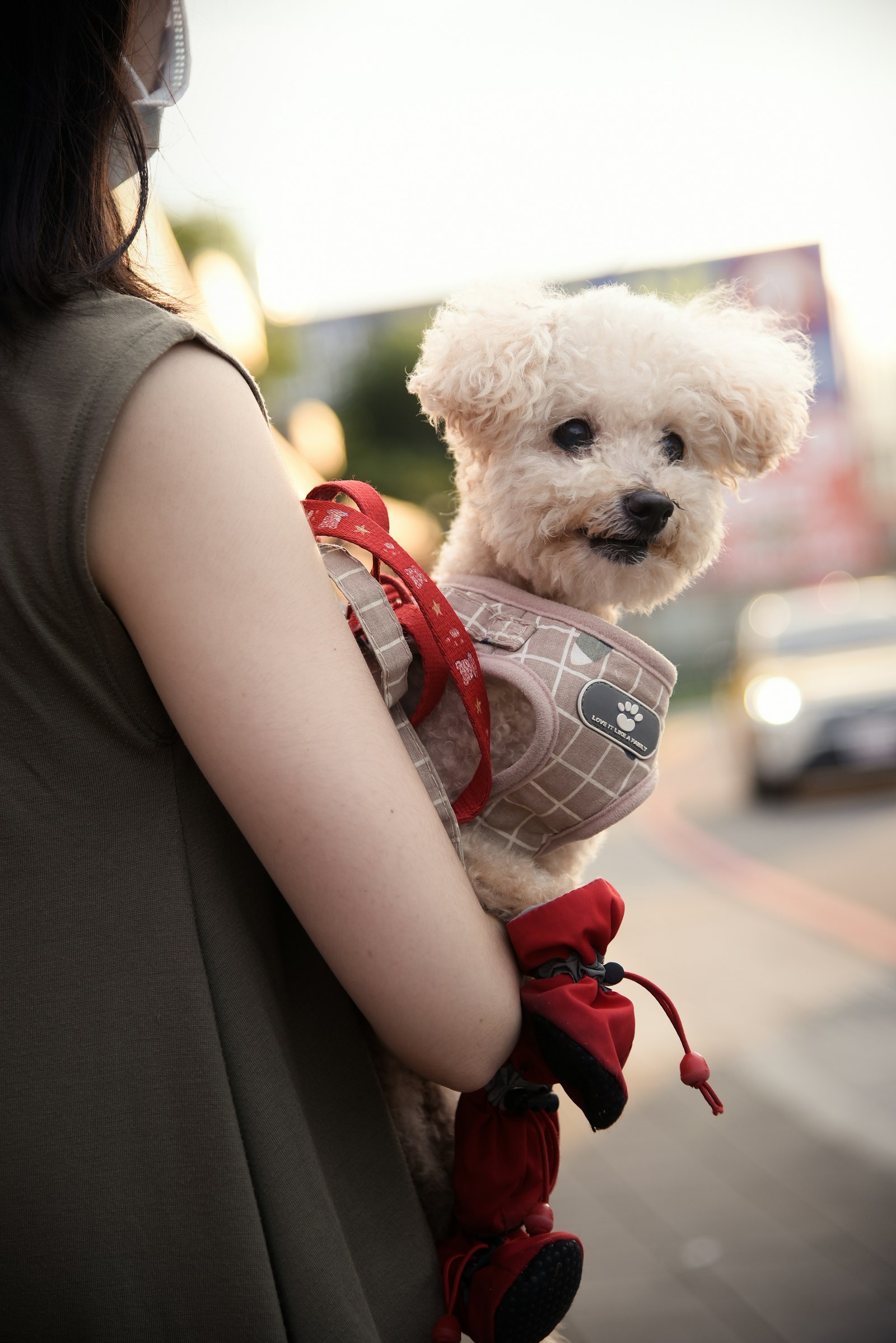 Over The Bridge Pet Cremation Services - Over the Bridge Pet Cremation ...